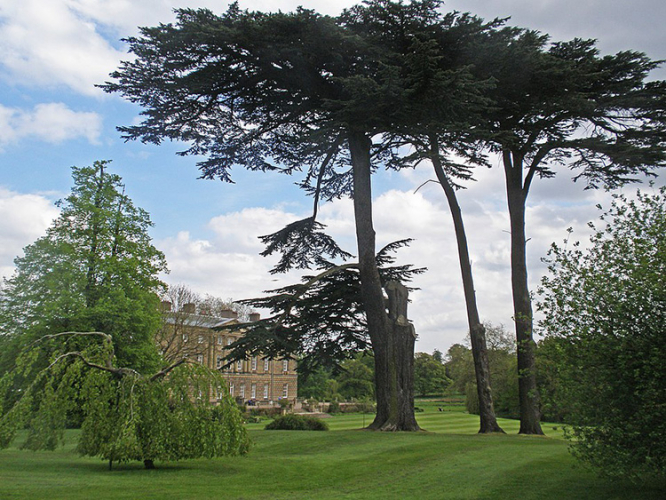 10 Facts About ‘Capability’ Brown | History Hit