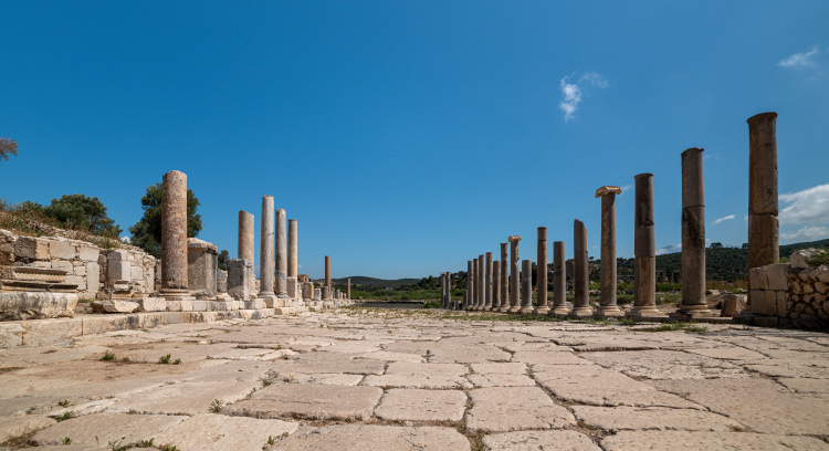 Patara - History and Facts | History Hit