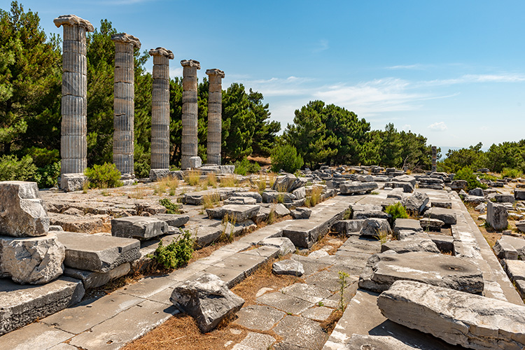 Priene - History and Facts | History Hit