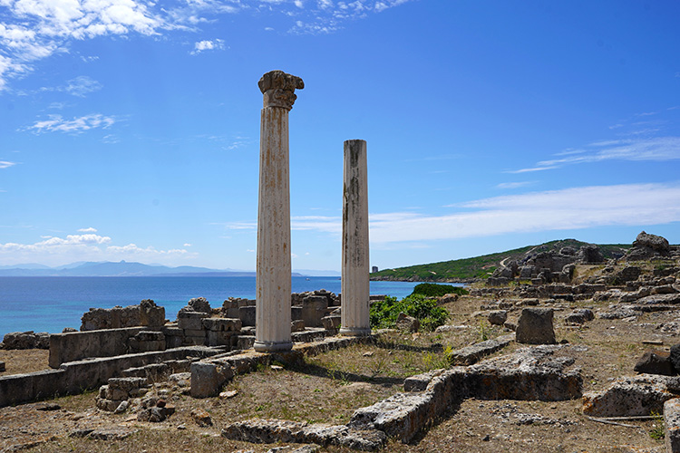 Tharros - History and Facts | History Hit