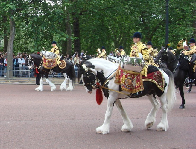 What Animals Have Been Taken into the Ranks of the Household Cavalry ...