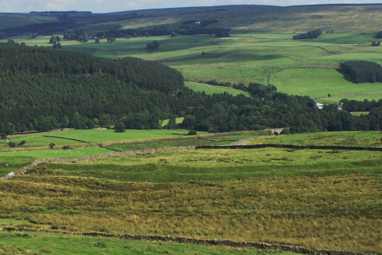 Whitley Castle - History and Facts | History Hit