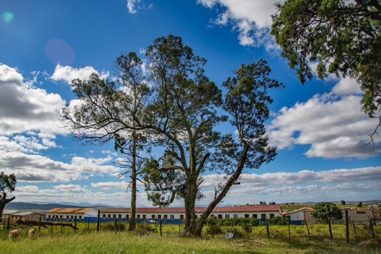 Qunu - History and Facts | History Hit