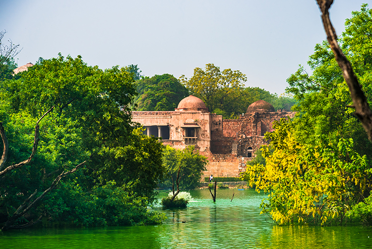 Hauz Khas - History and Facts | History Hit