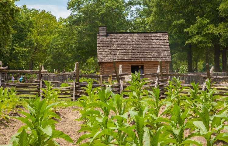 Colonial National Park - History and Facts | History Hit