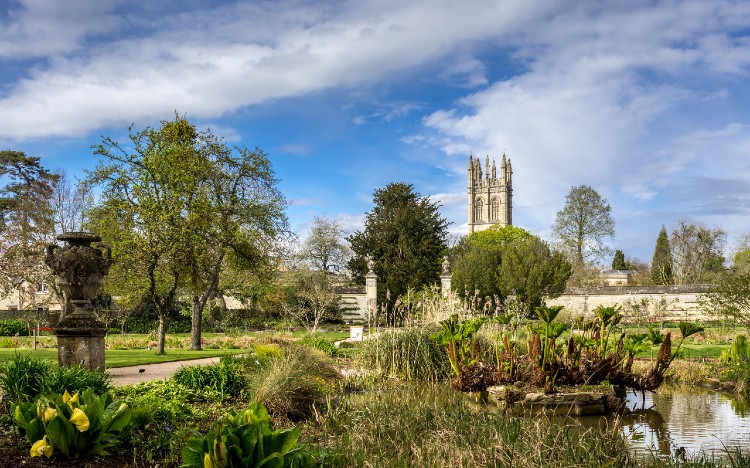 Oxford Botanic Garden - History and Facts | History Hit