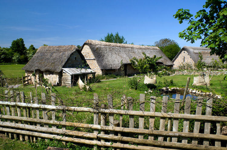 Medieval Village Life
