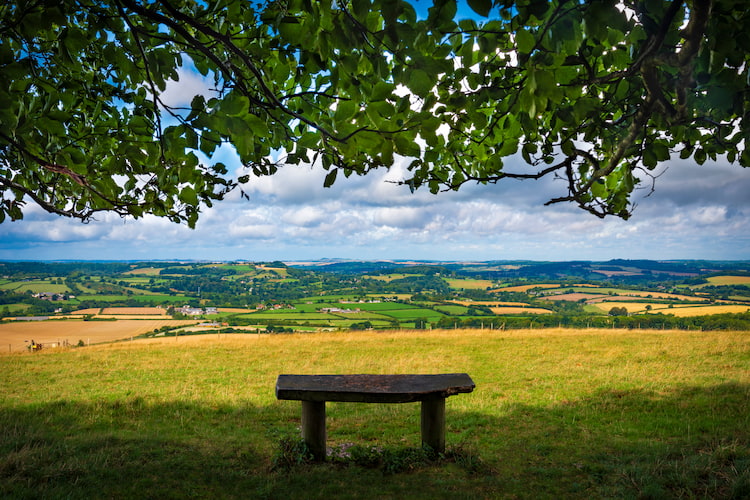 Cranborne Chase - History and Facts | History Hit