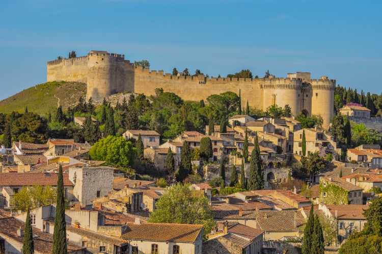 Saint-André Castle - History and Facts | History Hit