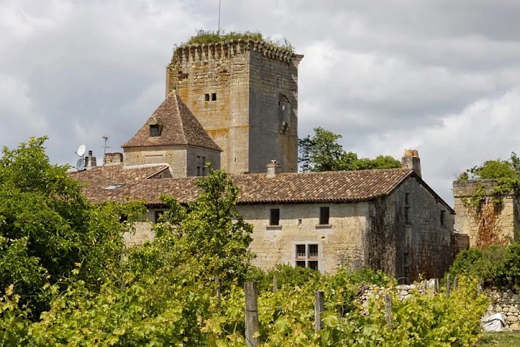 Curton Castle - History and Facts | History Hit