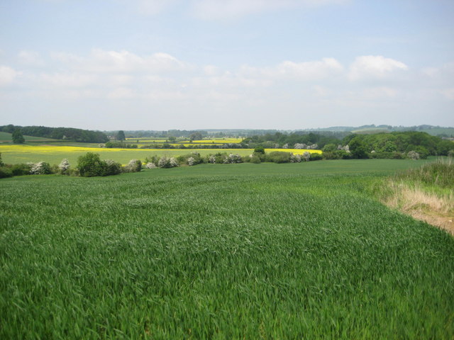 Edgecote Moor Battlefield - History and Facts | History Hit