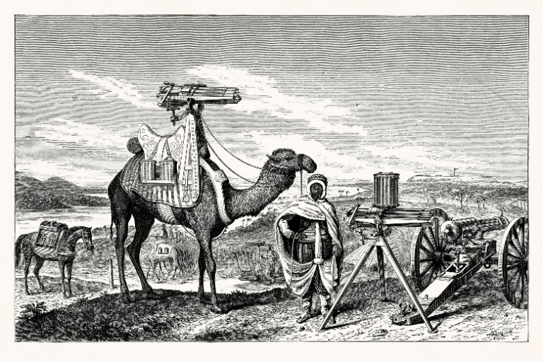 Did Age of Empires 3’s Gatling Camels Actually Exist? | History Hit