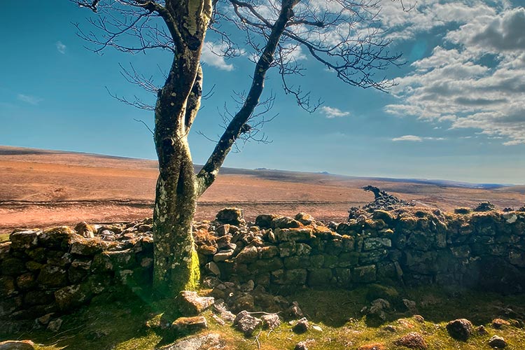 10 of the Best Historic Sites in Dartmoor | Historical Landmarks ...