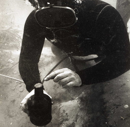 10 of the Oldest Foods Ever Discovered | History Hit