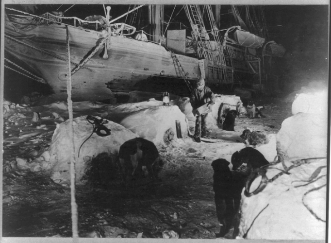 The Adventures of Mrs. Chippy, Shackleton’s Seafaring Cat | History Hit