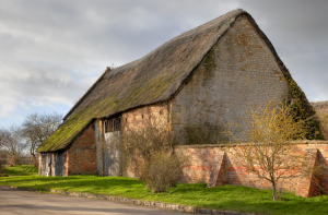 What Was Life Like for Medieval Peasants? | History Hit