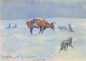 What Was Life Like for Cowboys in the 1880s American West? | History Hit