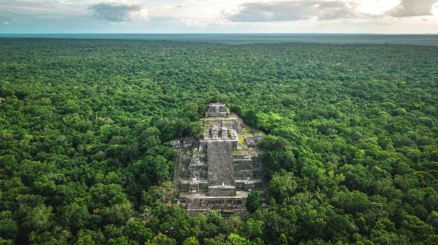 8 Striking Lost Cities and Structures Reclaimed by Nature | History Hit