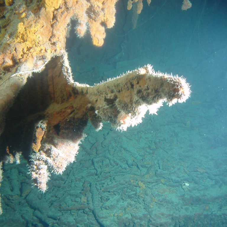 10 Eerie Underwater Photos of the Titanic Wreck | History Hit