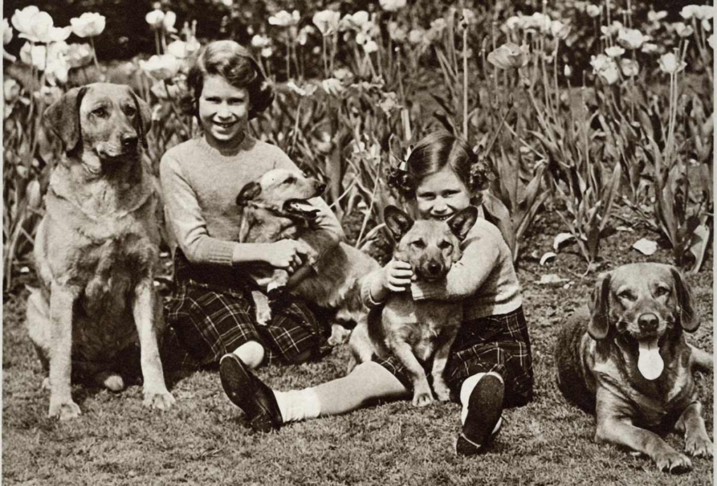 The Queen’s Corgis: A History in Pictures | History Hit