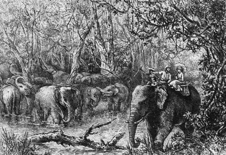 Britain’s Pioneering Female Explorer: Who Was Isabella Bird? | History Hit