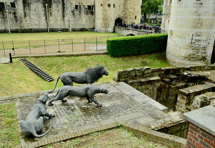 Lions and Tigers and Bears: The Tower of London Menagerie | History Hit