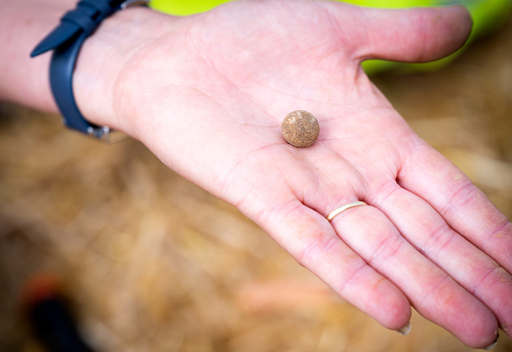 Bones of Men and Horses: Unearthing the Horrors of War at Waterloo ...