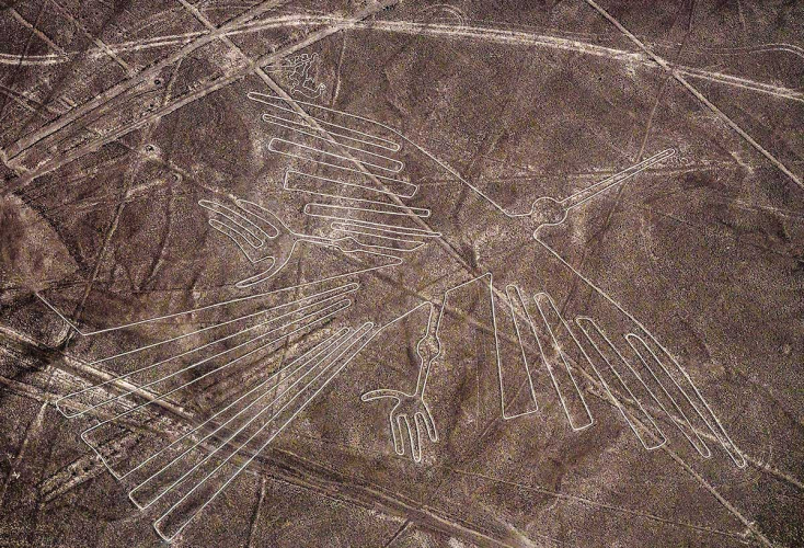 Who Built the Nazca Lines and Why? | History Hit