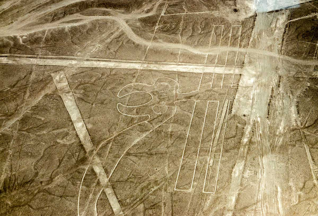 Who Built the Nazca Lines and Why? | History Hit