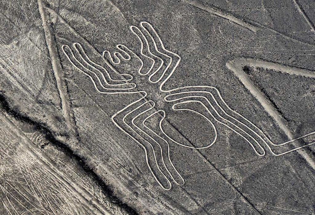 Who Built the Nazca Lines and Why? | History Hit