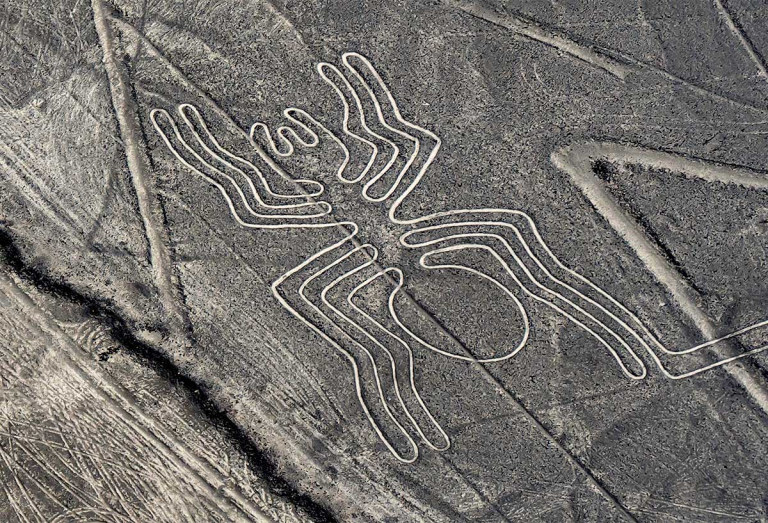 Who Built the Nazca Lines and Why? | History Hit