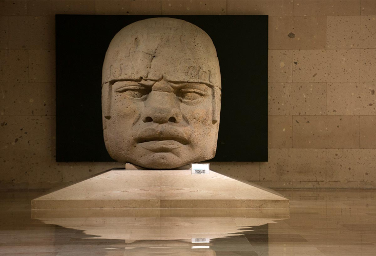 The Olmec Colossal Heads | History Hit