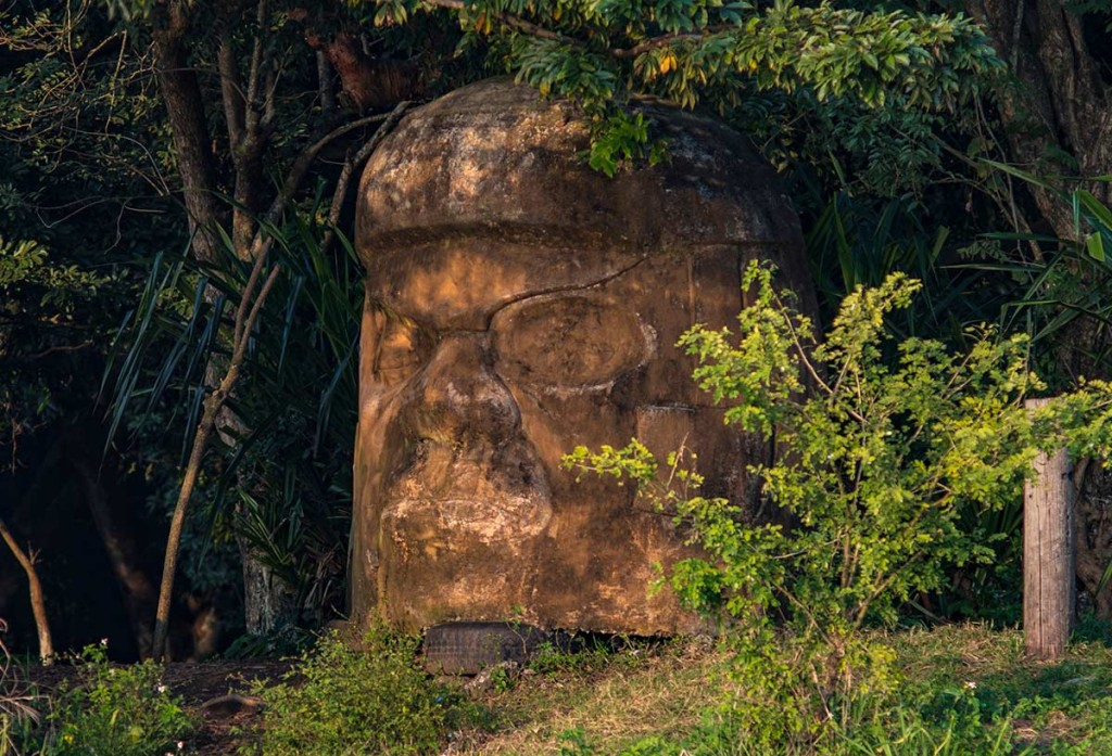 The Olmec Colossal Heads | History Hit