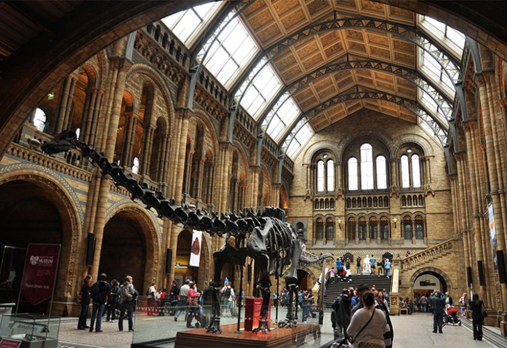 10 Facts About Dippy the Dinosaur | History Hit