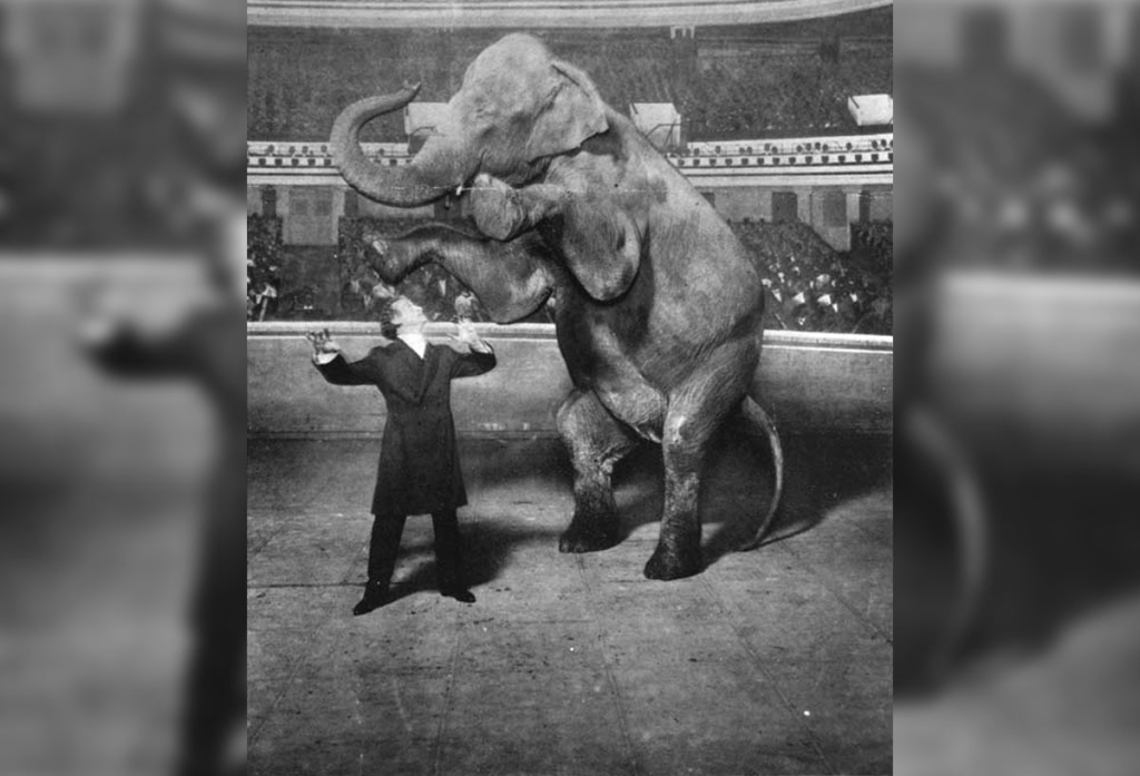 In Pictures: Harry Houdini’s Greatest Stunts | History Hit