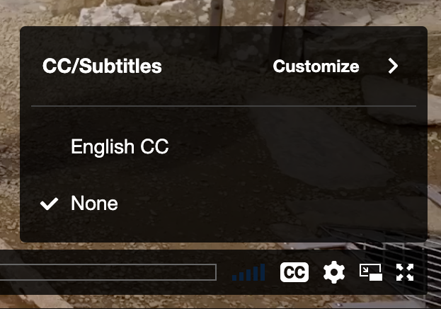 How to Turn On Subtitles | History Hit