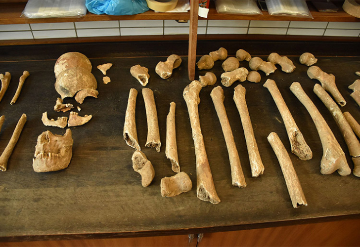 Bones in the Attic: The Forgotten Fallen of Waterloo | History Hit