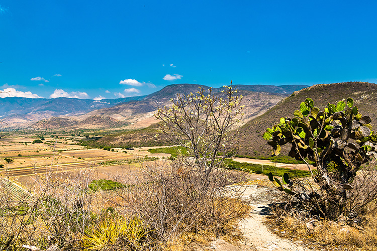 Yagul - History and Facts | History Hit