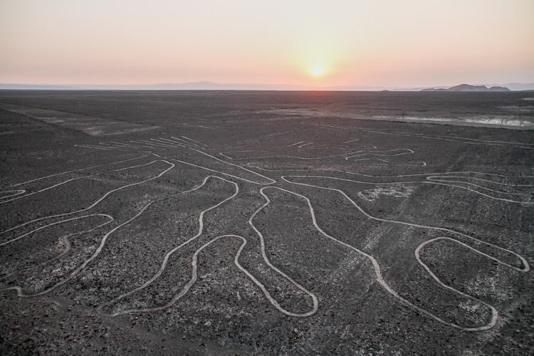 Nazca Lines - History and Facts | History Hit