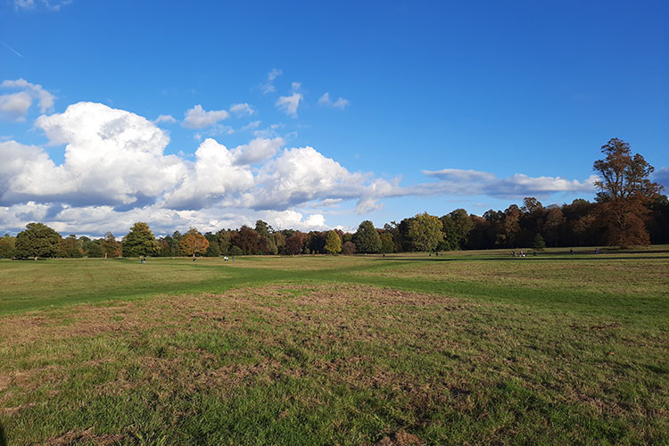Nonsuch Palace site - History and Facts | History Hit