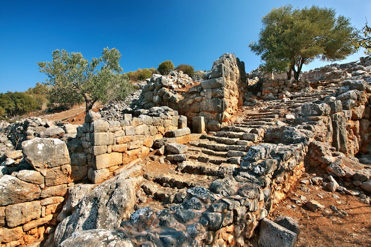 Lato - History and Facts | History Hit