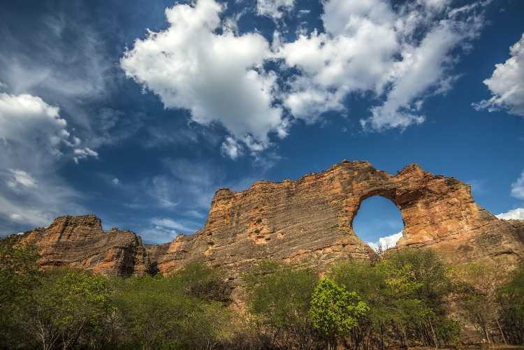 Serra da Capivara National Park - History and Facts | History Hit