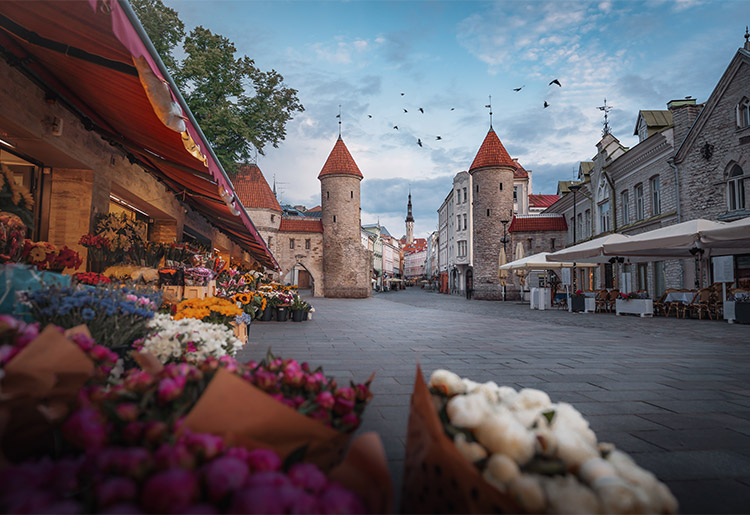 Tallinn Old Town - History and Facts | History Hit