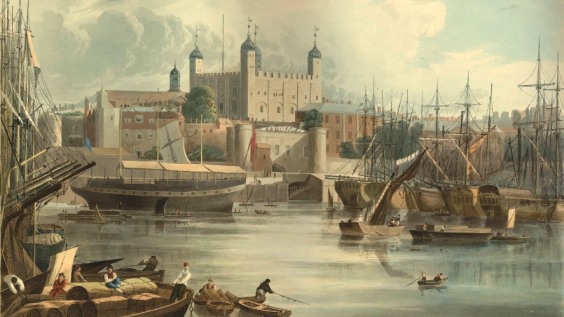 Henry VIII | History Hit