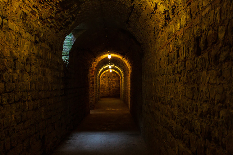 The Barbara Baths – Trier - History and Facts | History Hit