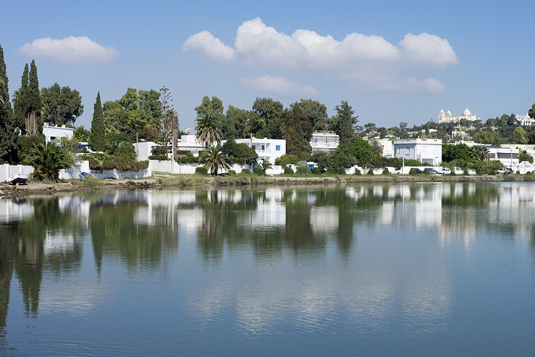 Carthage Punic Port and Museum - History and Facts | History Hit