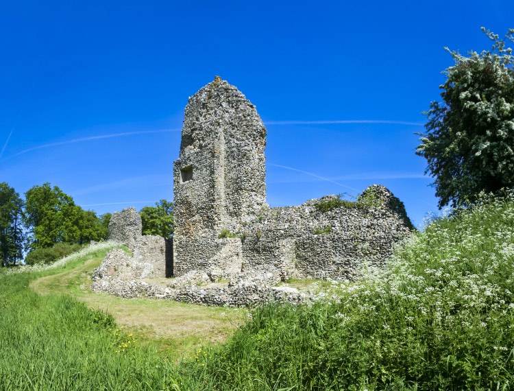 Berkhamsted Castle - History and Facts | History Hit