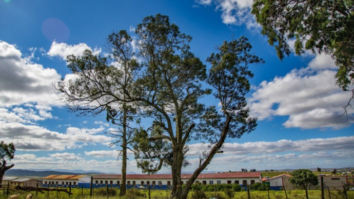 Mvezo | Attraction Guides | History Hit