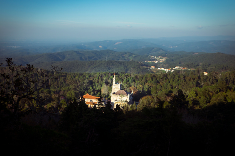 Bussaco Battlefield - History and Facts | History Hit
