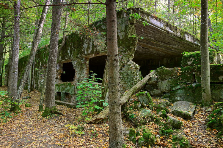 Wolf’s Lair - History and Facts | History Hit